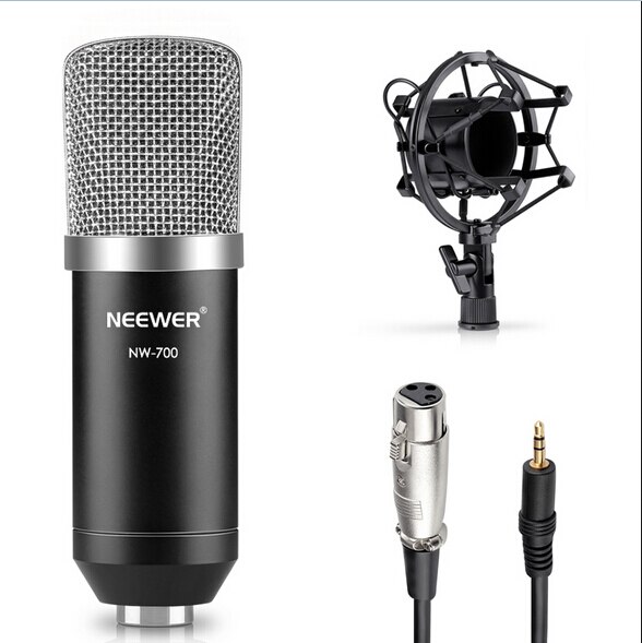 Neewer Professional Condenser Microphone buffwoofer.com